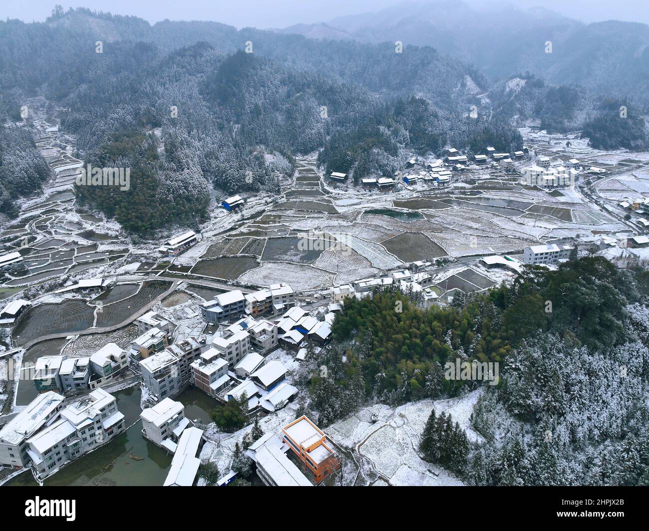 Thousand trees hi-res stock photography and images - Alamy