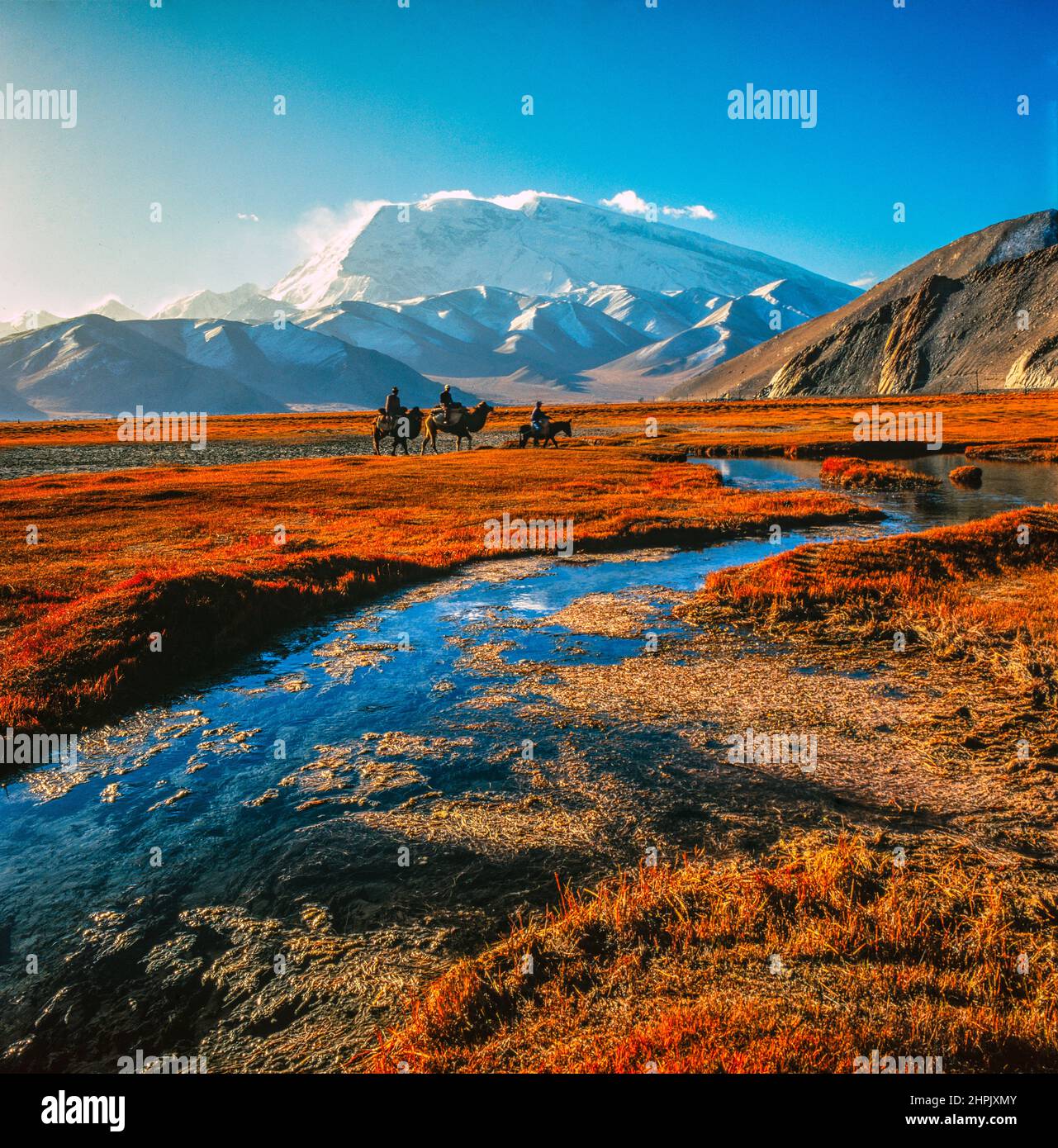 The father of the iceberg hi-res stock photography and images - Alamy