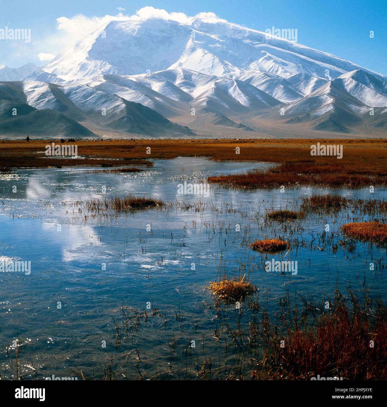 The father of the iceberg hi-res stock photography and images - Alamy