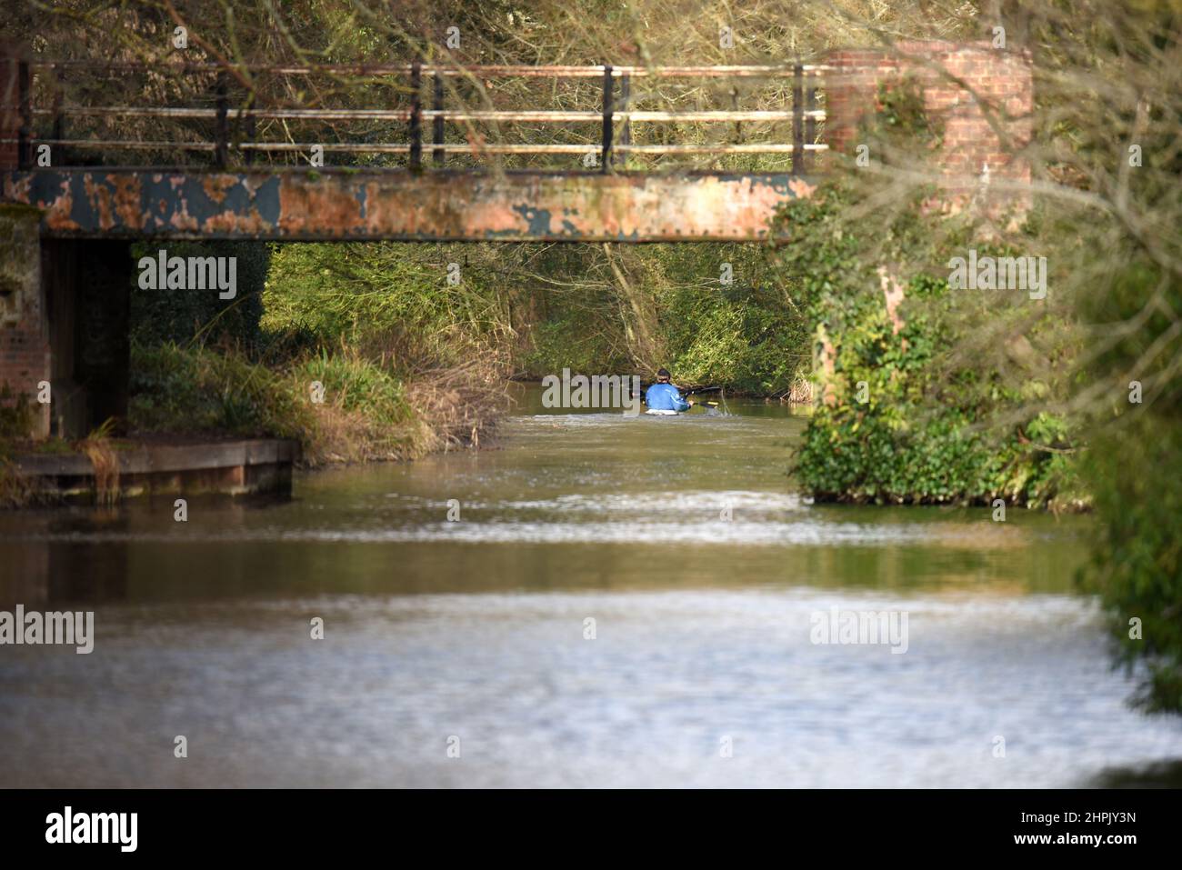 Ash surrey hi-res stock photography and images - Alamy