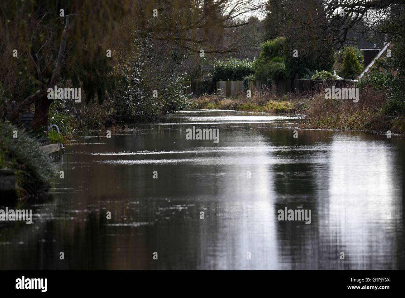 Ash surrey hi-res stock photography and images - Alamy