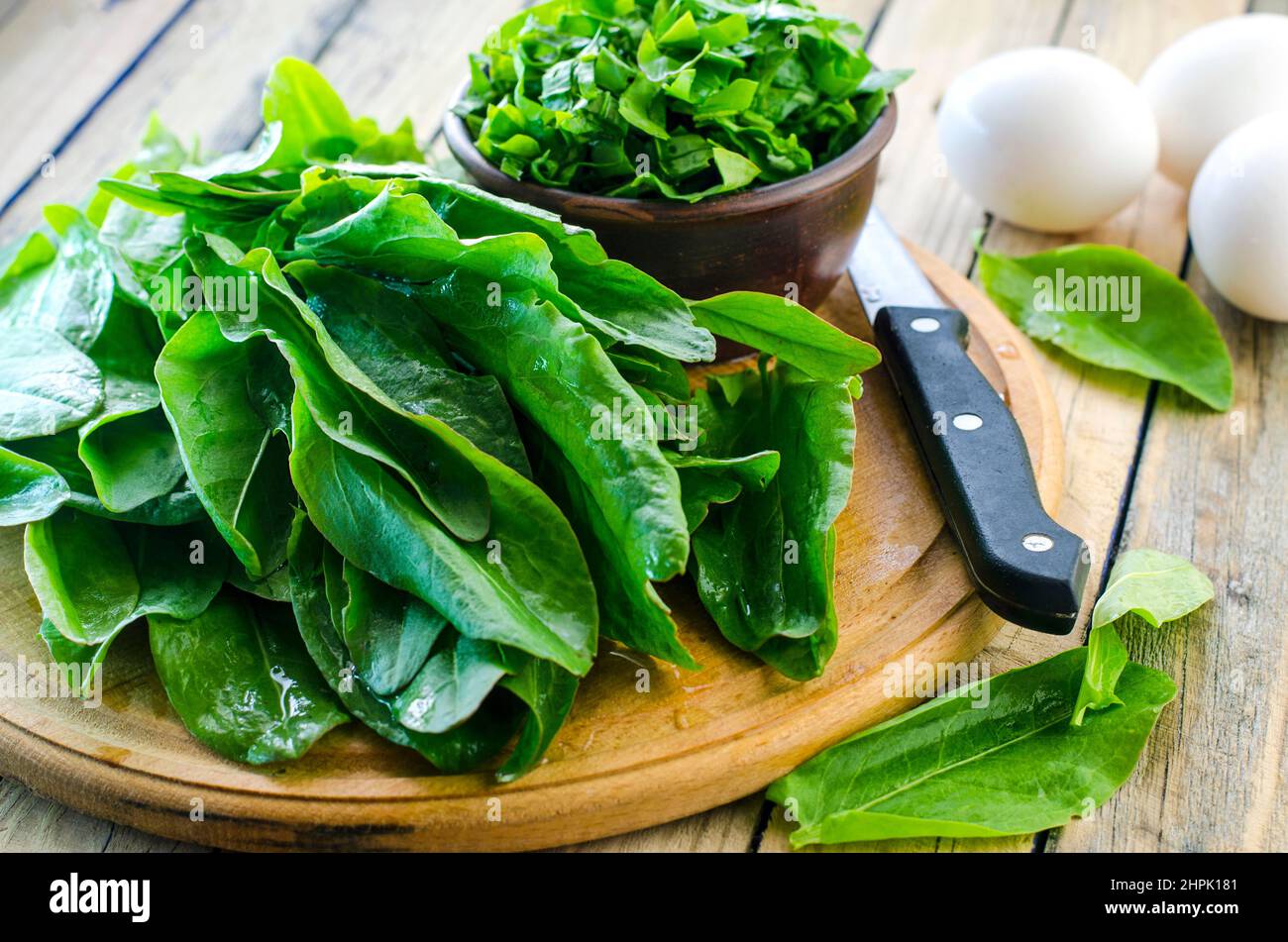 Sorrel leaves hi-res stock photography and images - Alamy