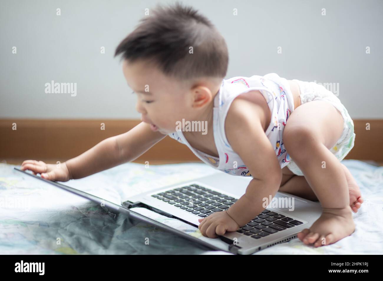 Cute asian baby boy playing laptop computer funny boy with computer ...