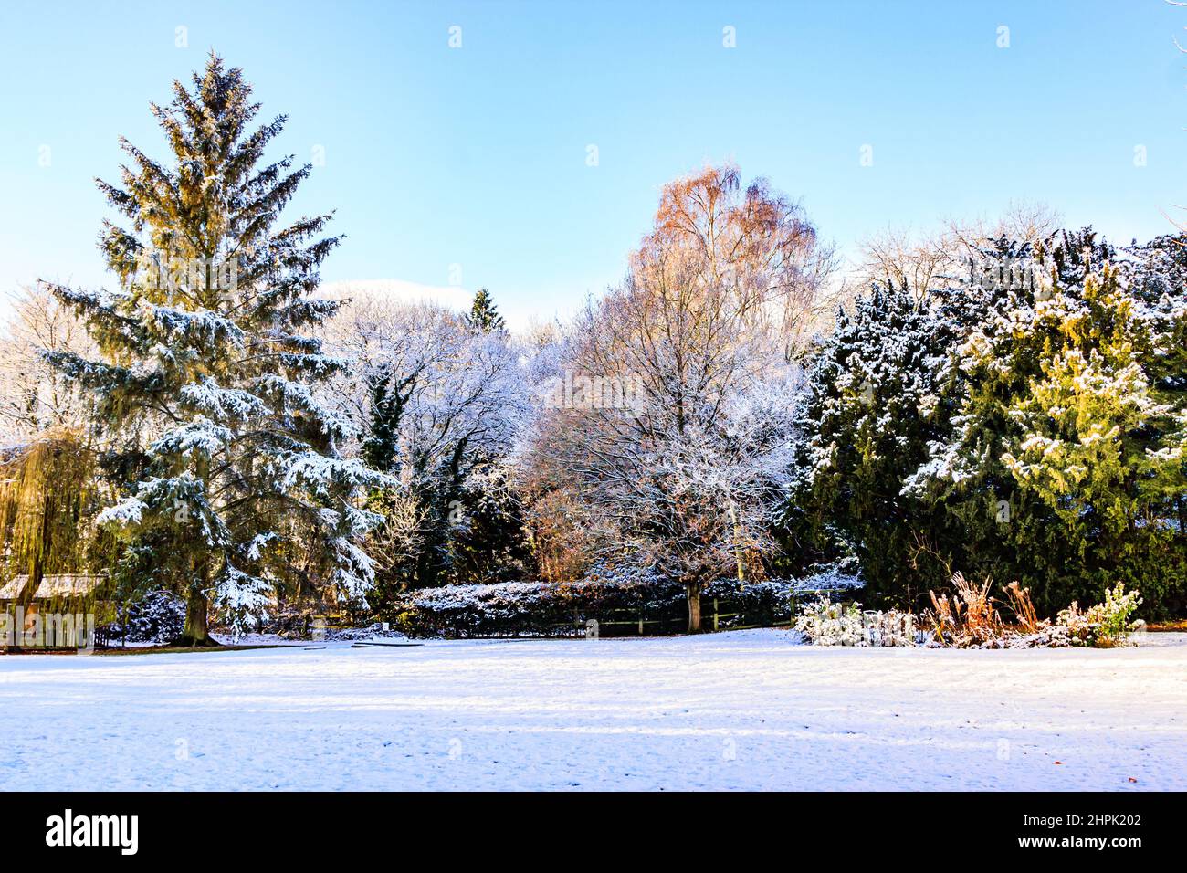 A typical winter landscape scene in England, Great Britain Stock Photo ...