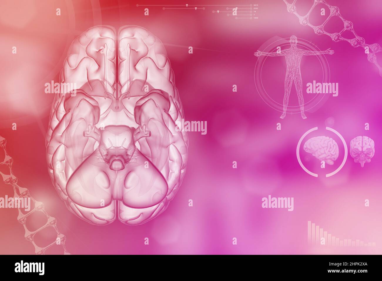 Human brain, neurology research concept - detailed hi-tech texture ...