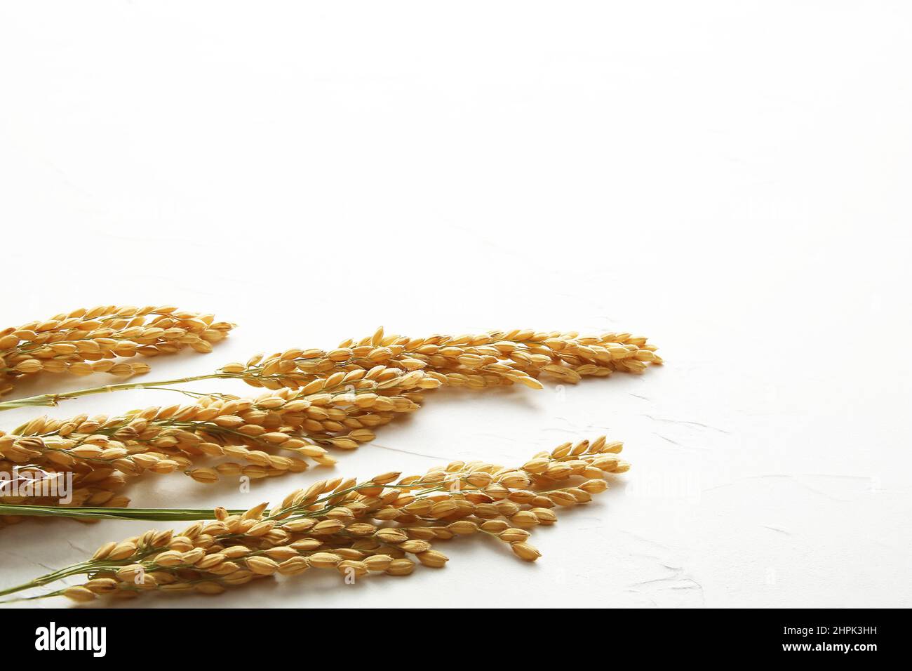 Grain, rice, rice grains Stock Photo - Alamy