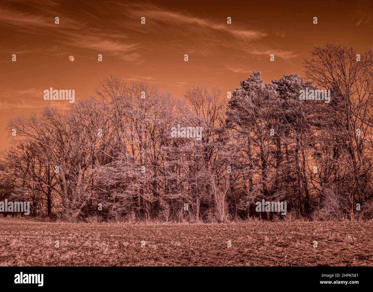landscape in infrared photography Stock Photo - Alamy