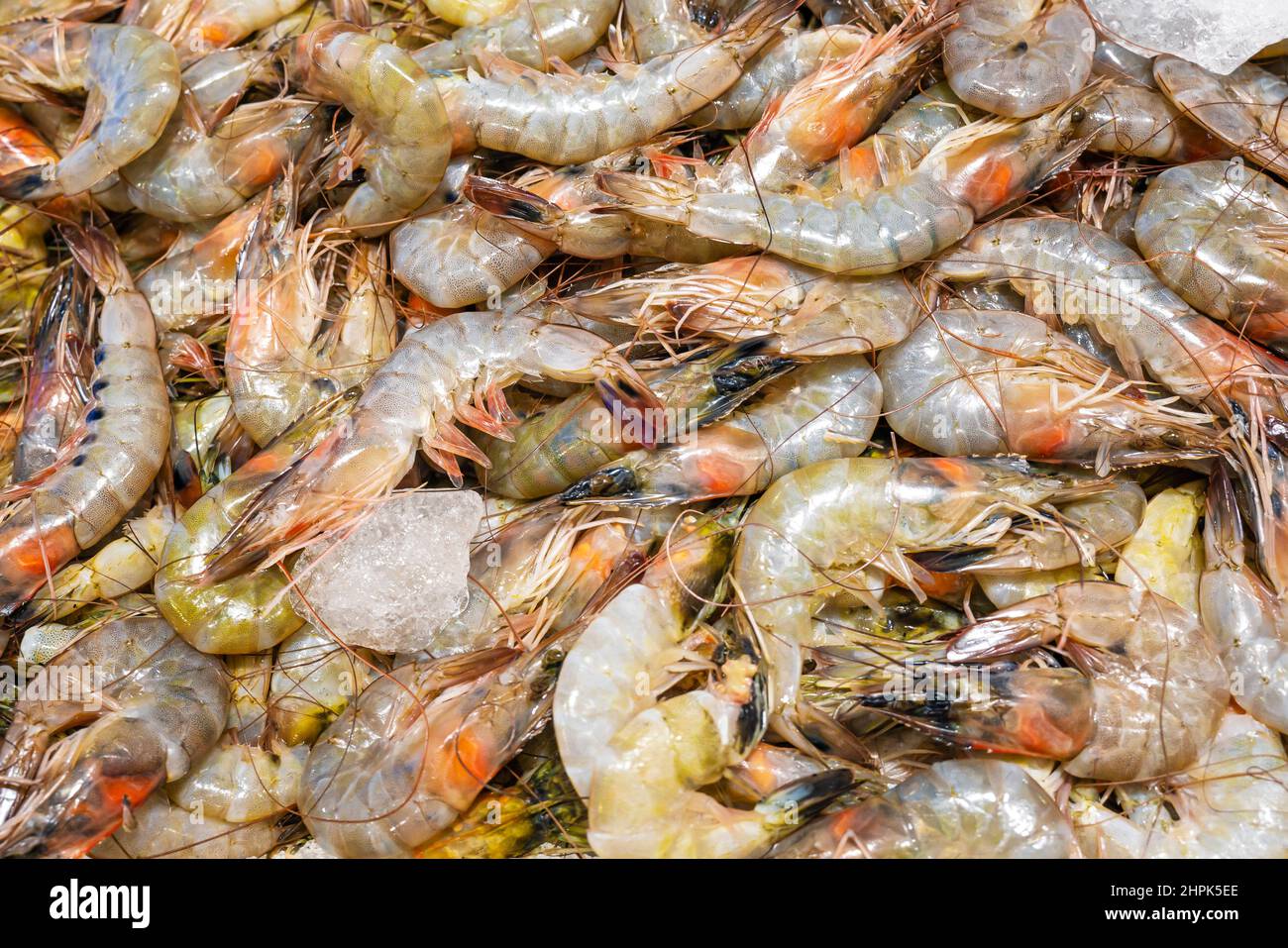 Lot of shrimps on market, Prawns on ice, many fresh raw whole chilled ...