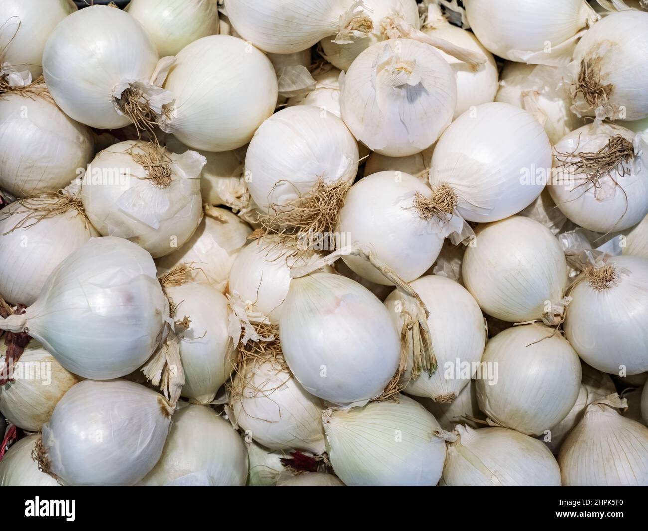 Onion counter hi-res stock photography and images - Alamy