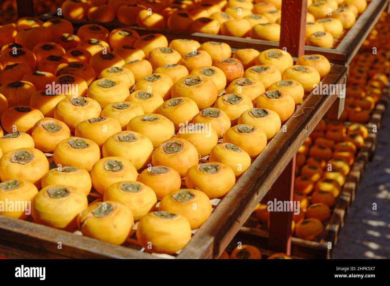 Sun dried persimmon, persimmon, fruit, dried persimmon processing Stock ...