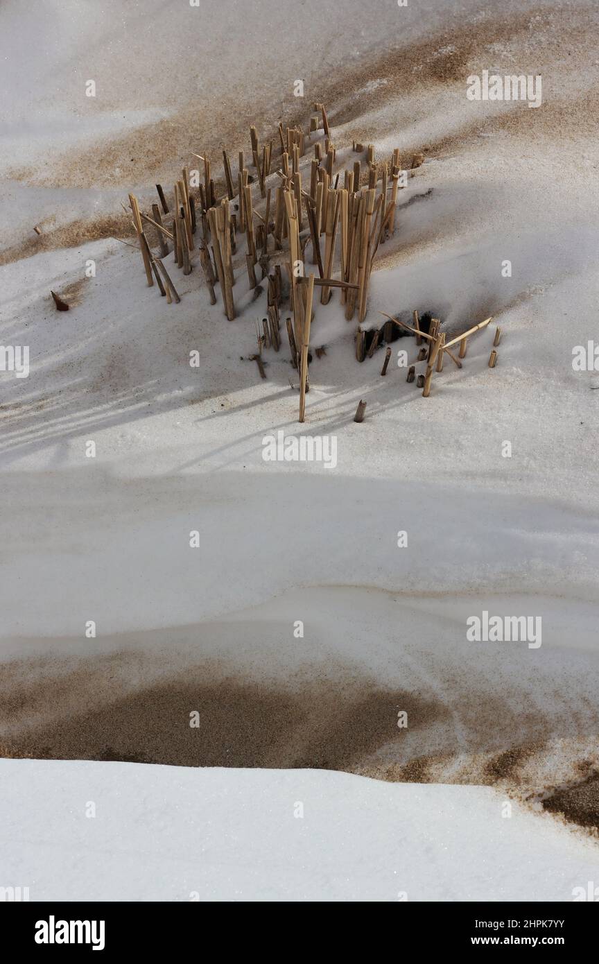 Interesting natural patterns and formations found in the sand dunes and ...