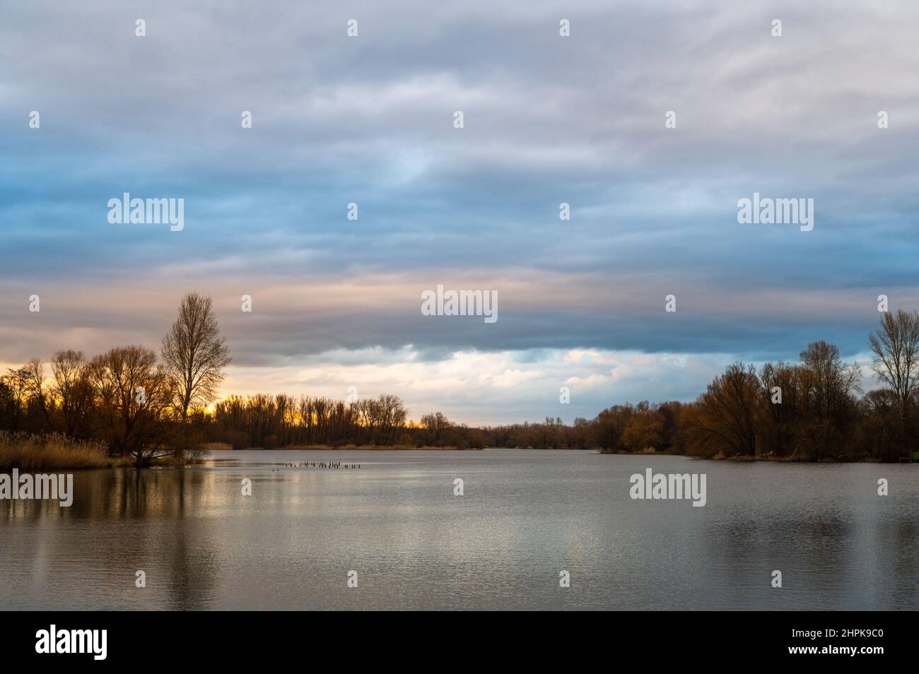 Golden mood hi-res stock photography and images - Alamy