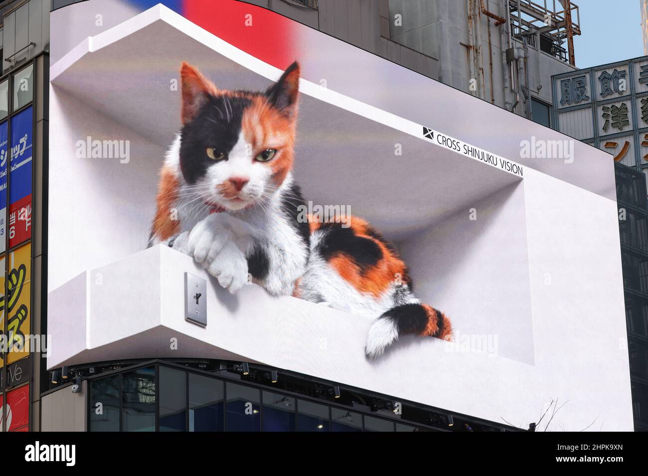 Tokyo, Japan. 22nd Feb, 2022. Once in 1000 years. "2022/2/22" Cat Day ...