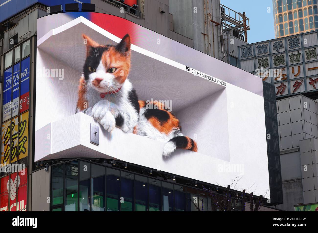 Once in 1000 years. "2022/2/22" Cat Day is "Six 2's". Cats at Shinjuku ...