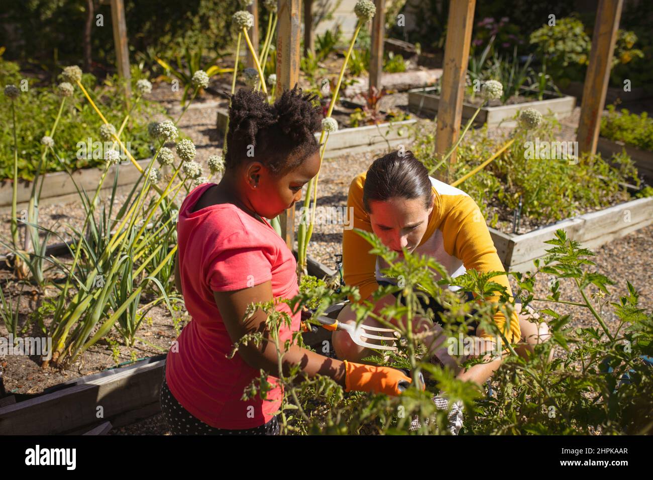Black People Gardening