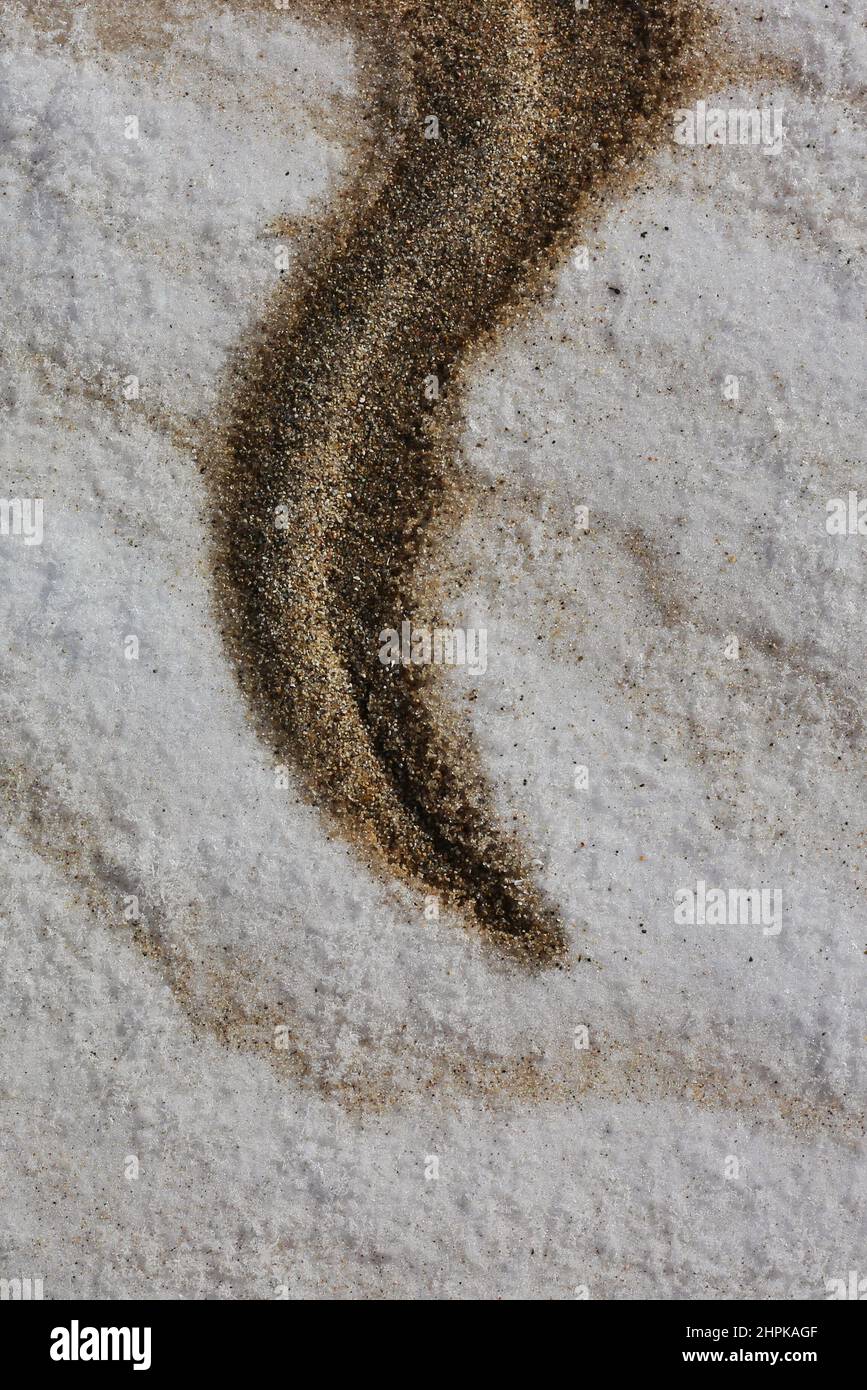 Interesting natural patterns and formations found in the sand dunes on ...