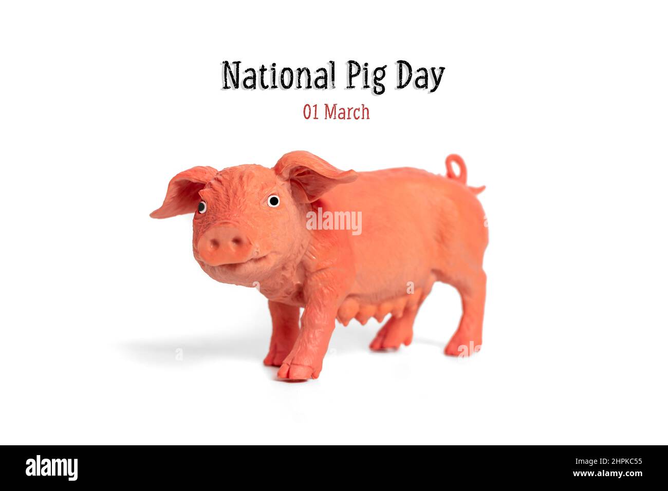 March 1National Pig Day, celebrated annually on March 1st, is the ...