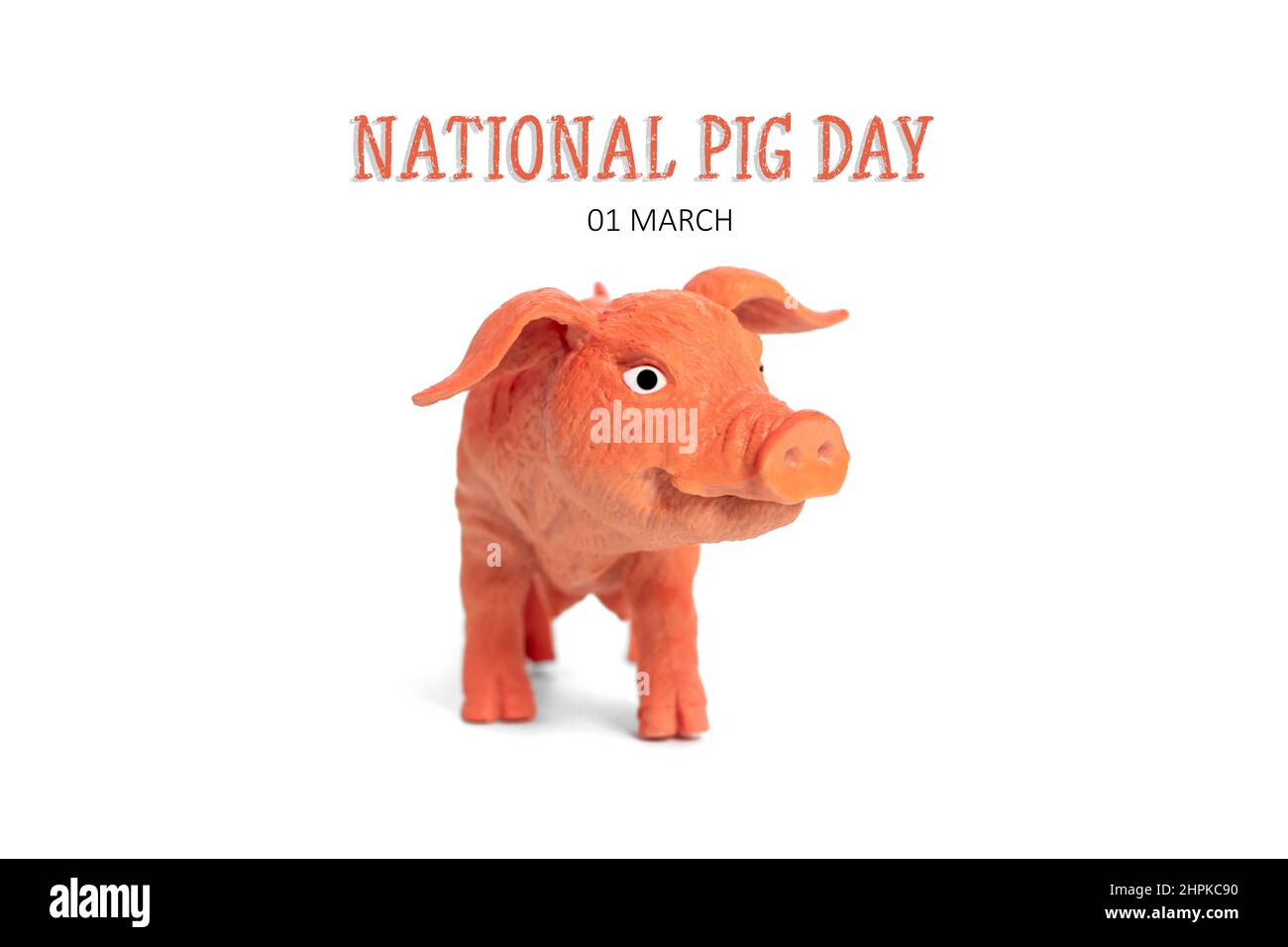 March 1National Pig Day, celebrated annually on March 1st, is the ...