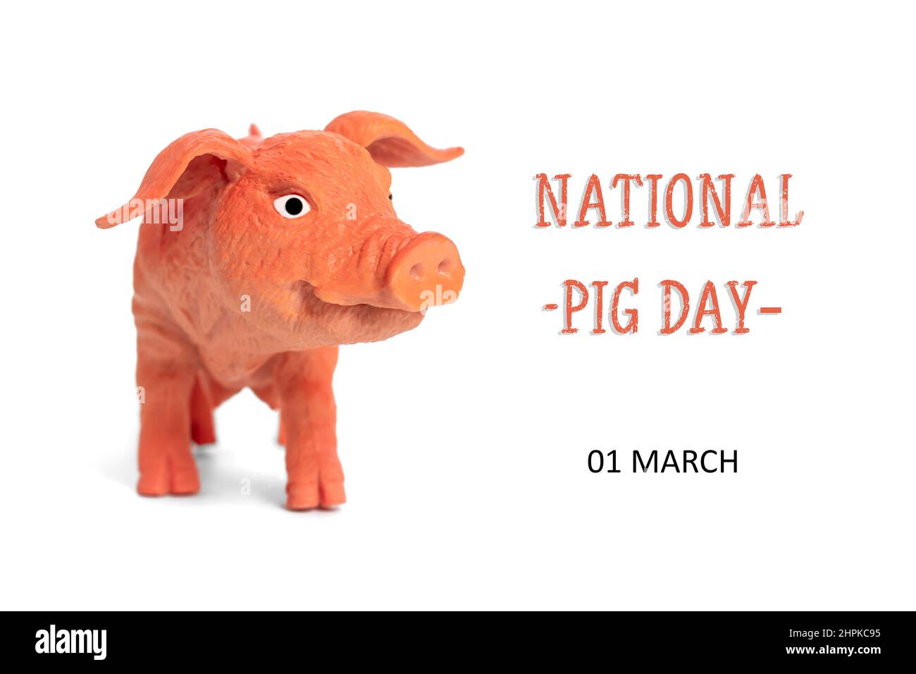 March 1National Pig Day, celebrated annually on March 1st, is the ...
