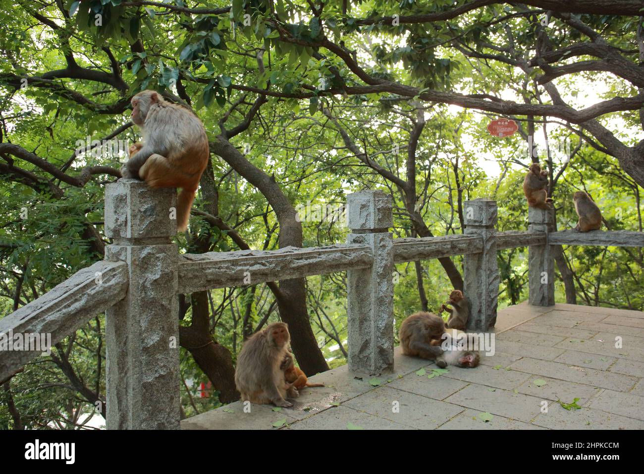 Huaguo mountain hi-res stock photography and images - Alamy