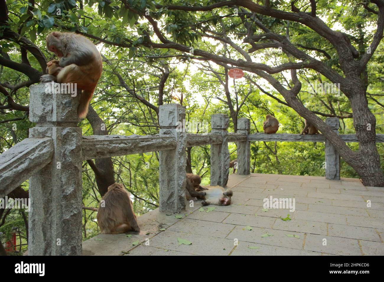Huaguo mountain hi-res stock photography and images - Alamy