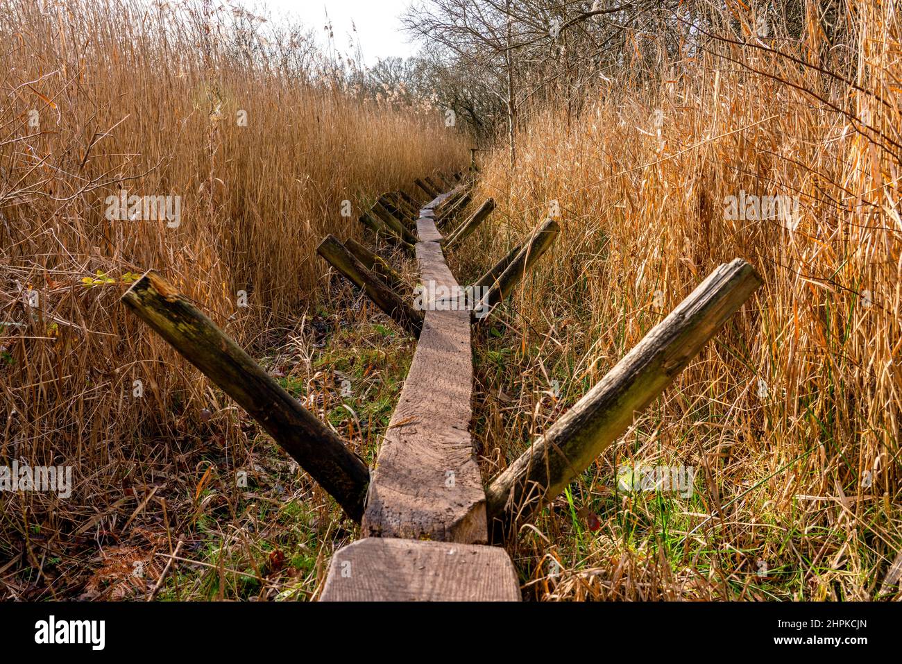 Reconstruction of the Sweet Track an ingenious method of crossing the ...