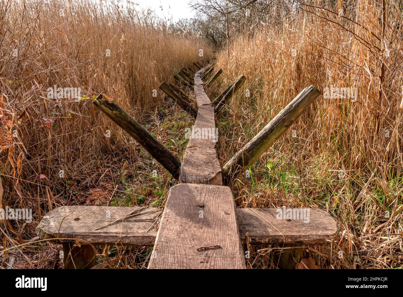 Reconstruction of the Sweet Track an ingenious method of crossing the ...