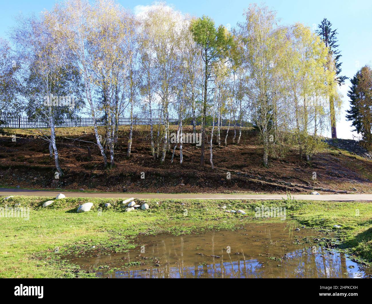 Autumn grain wood trees Stock Photo - Alamy