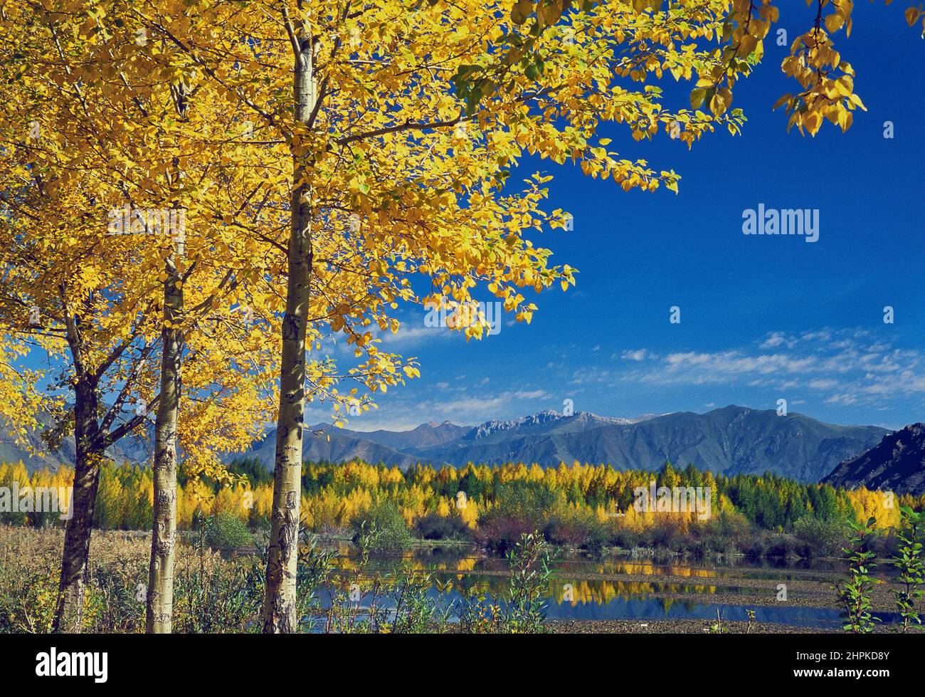 Tibet Lhasa on the outskirts of autumn Stock Photo - Alamy