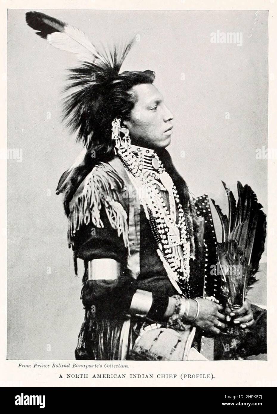 American Indian Profile High Resolution Stock Photography and Images ...