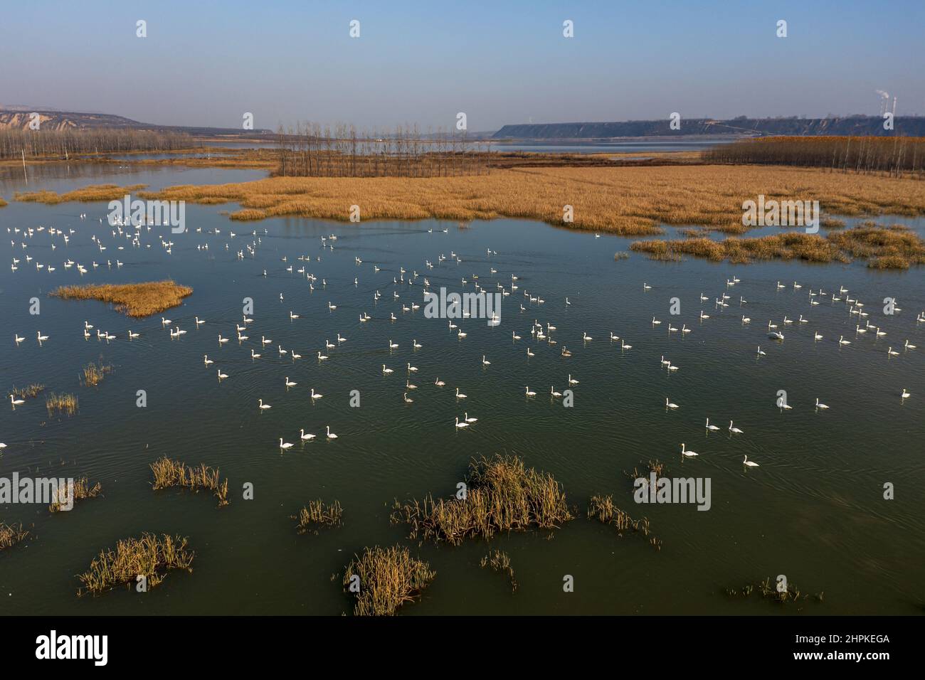 The Yellow River in henan sanmenxia wetland landscape Stock Photo - Alamy