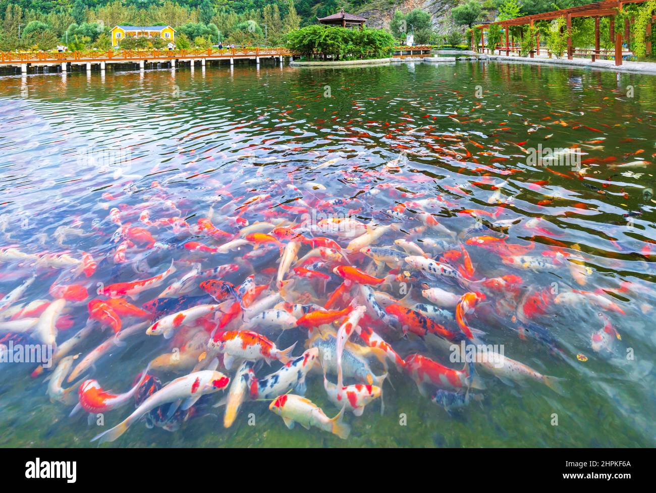 The fish pond houses hi-res stock photography and images - Alamy