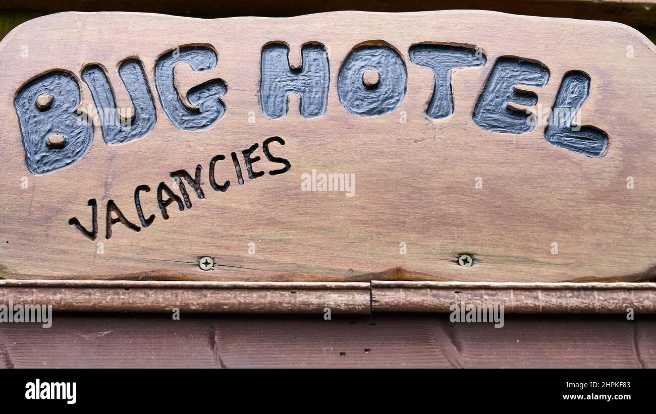 Bug Hotel vacancies sign above a nature project Stock Photo - Alamy