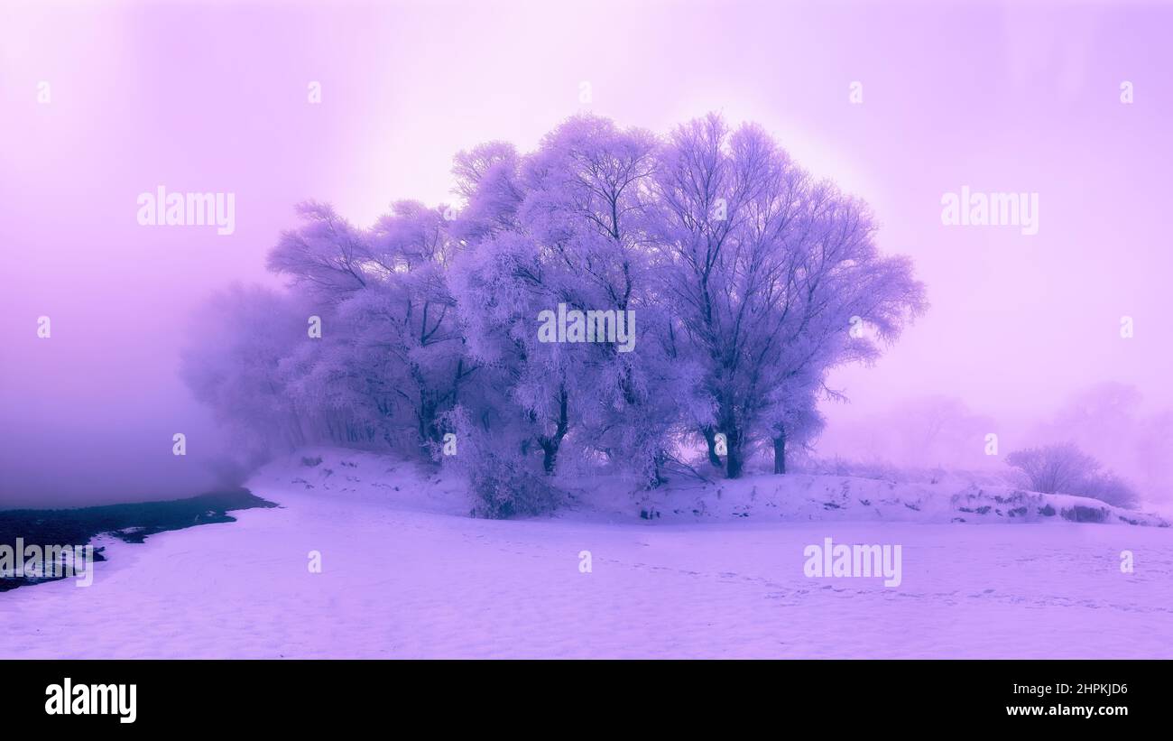 Jilin ski hi-res stock photography and images - Alamy