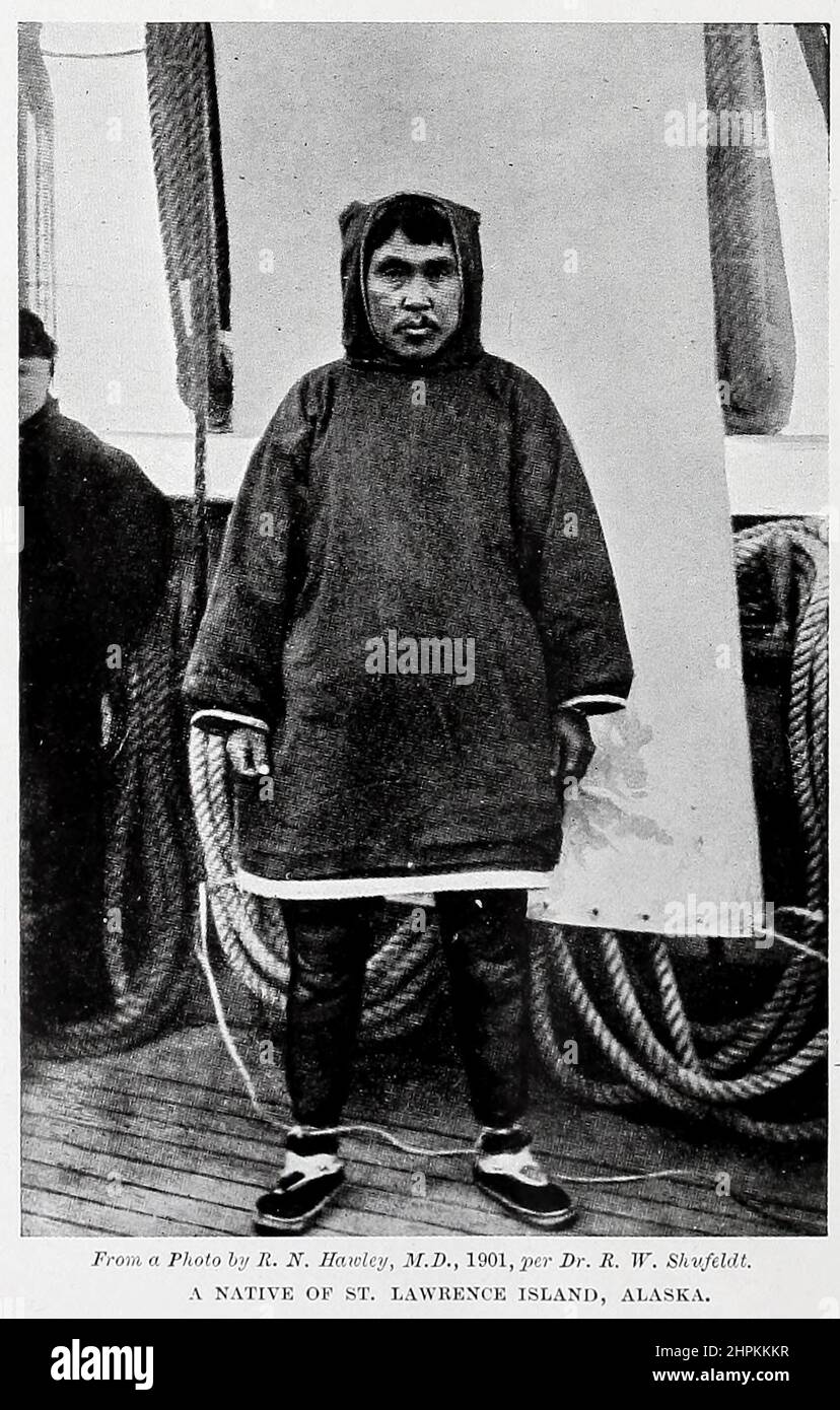 A NATIVE OF ST. LAWRENCE ISLAND, ALASKA Eskimo or Eskimos is a term ...