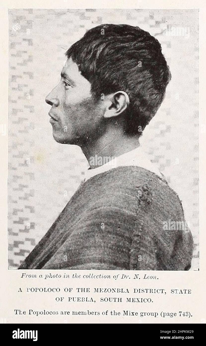 Human races mexico hi-res stock photography and images - Alamy