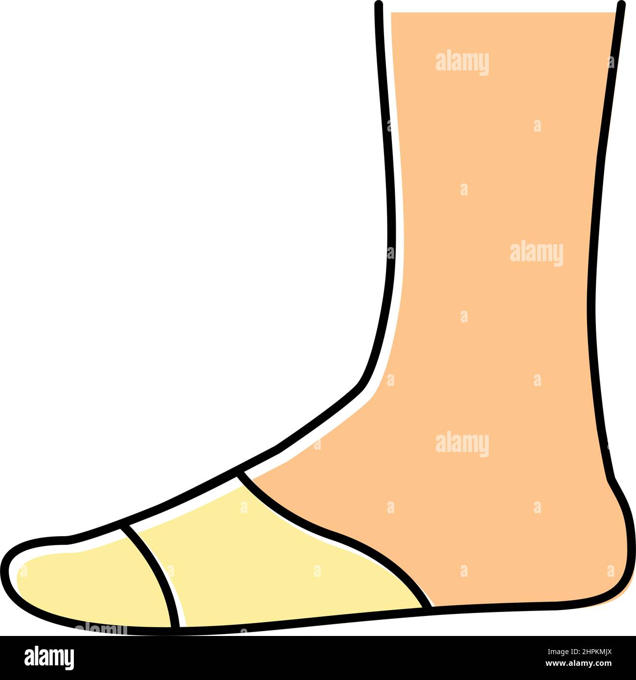 toe cover sock color icon vector isolated illustration Stock Vector ...