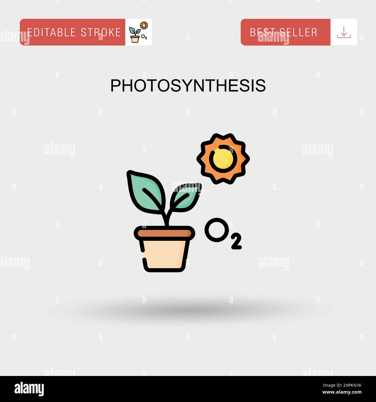 Simple Photosynthesis Diagram