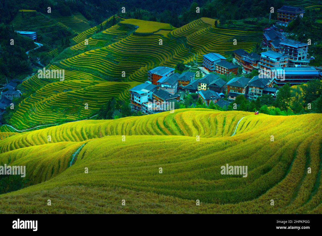 The terrace autumn Stock Photo - Alamy