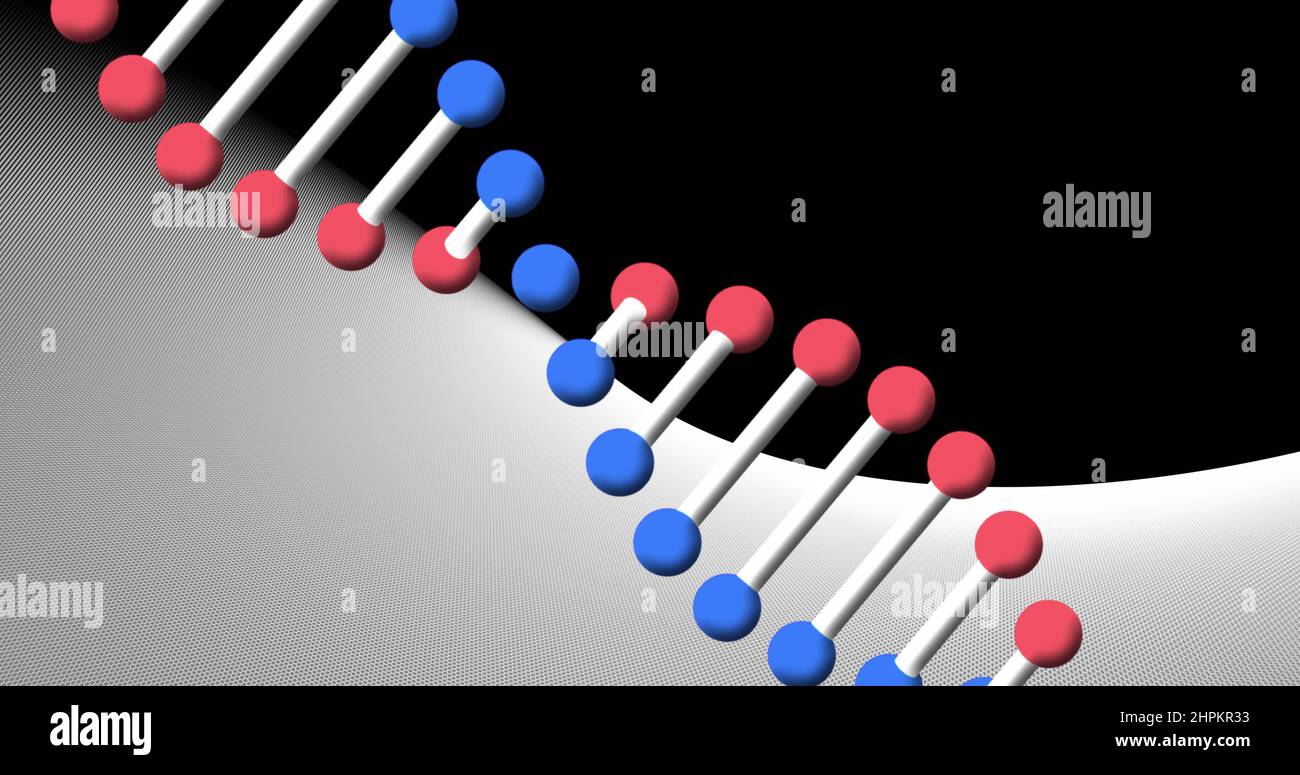 Image of dna strand spinning on black and white background Stock Photo ...