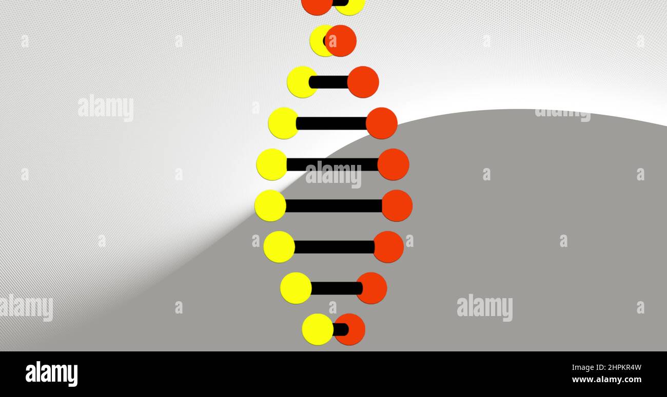 Image of dna strand spinning with copy space on grey background Stock ...