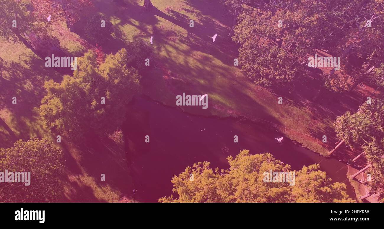 Overhead image hi-res stock photography and images - Alamy