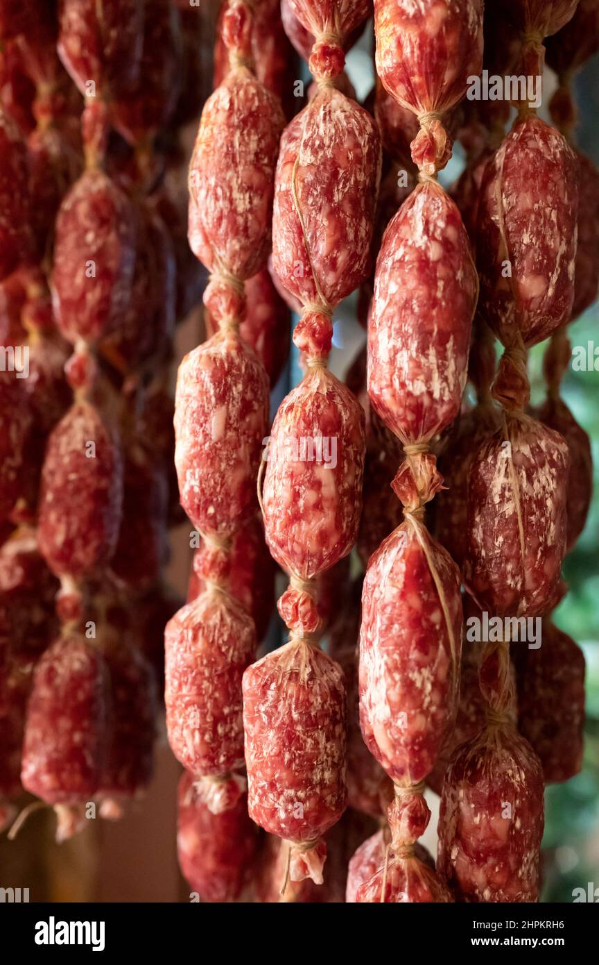 Variety of homemade dried salami sausages hanging in butchery shop in ...