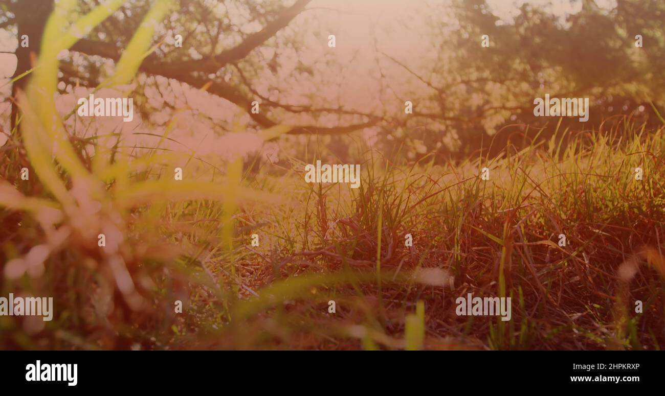 Sunny day natural light hi-res stock photography and images - Alamy