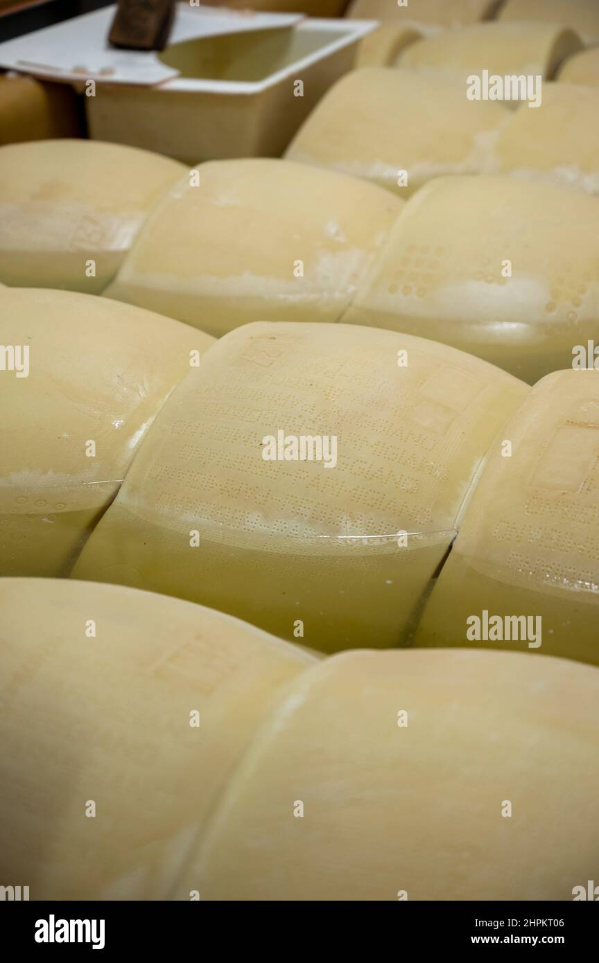 Process of making parmigiano-reggiano parmesan hard cheese on small ...