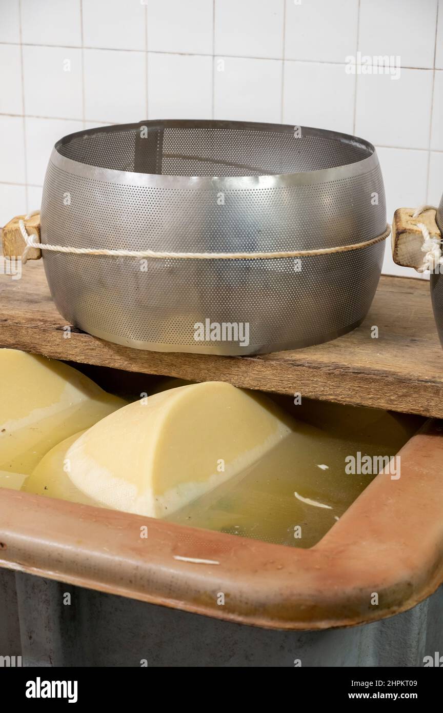 Process of making parmigiano-reggiano parmesan hard cheese on small ...