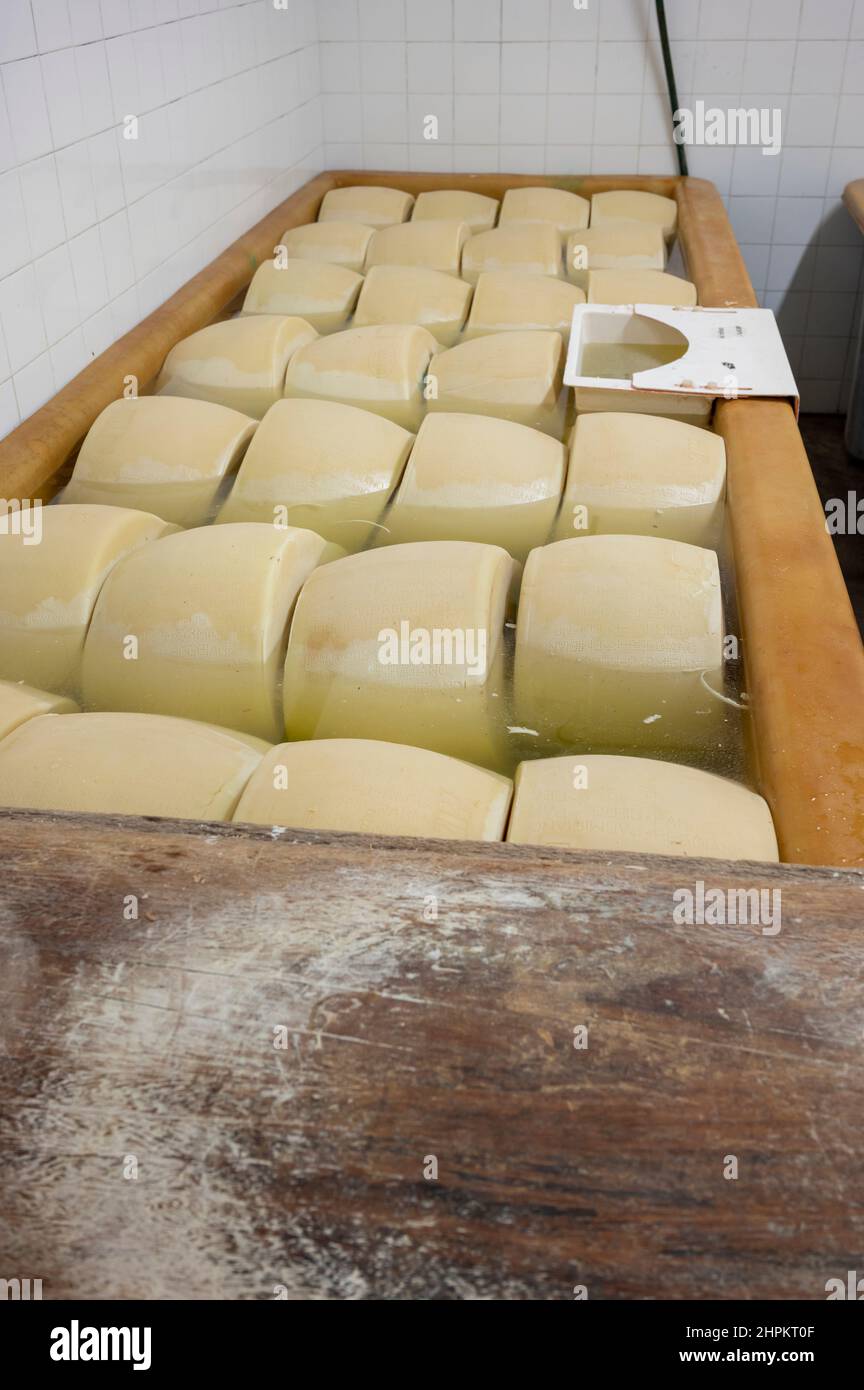Process of making parmigiano-reggiano parmesan hard cheese on small ...