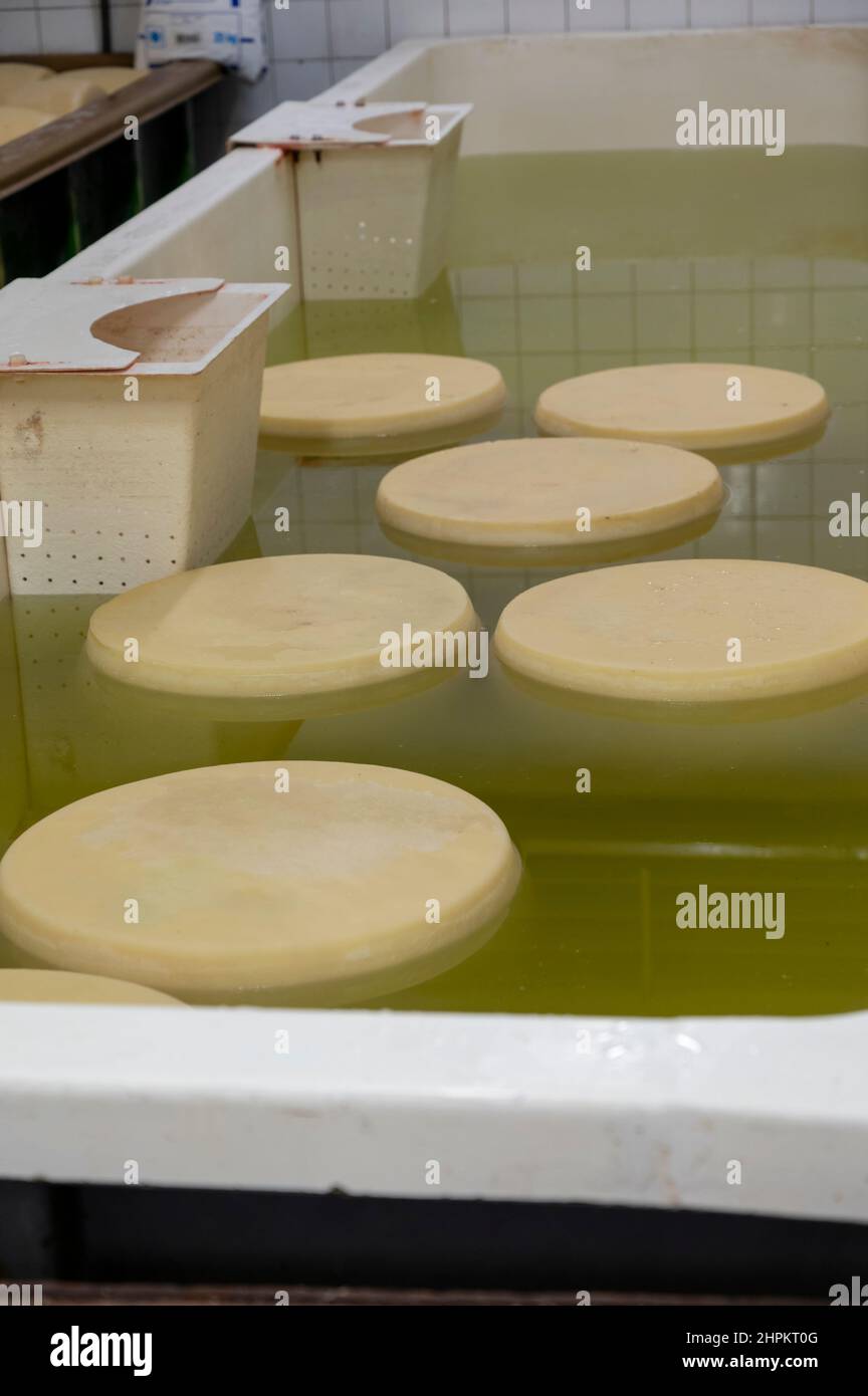 Process of making parmigiano-reggiano parmesan hard cheese on small ...