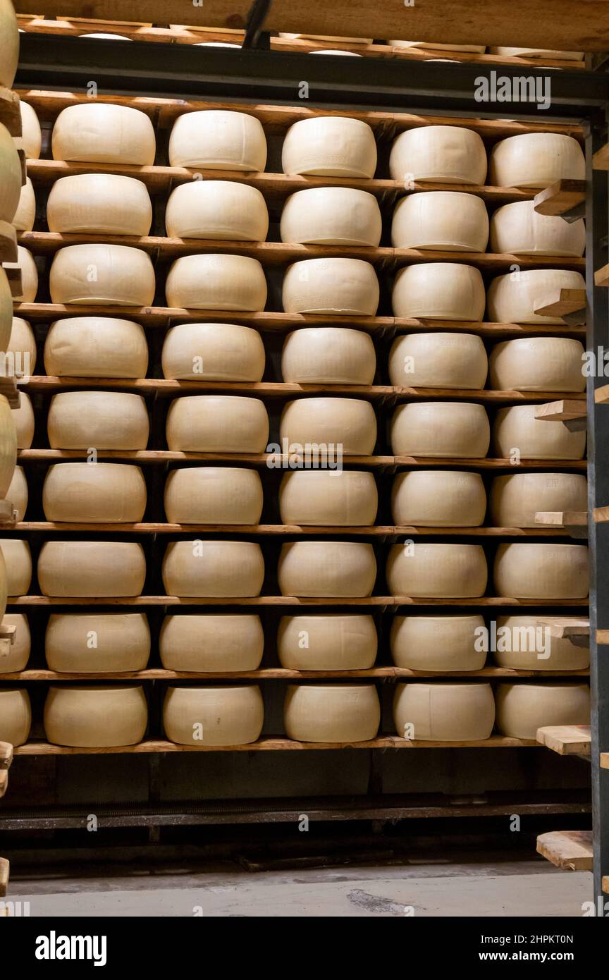 Process of making parmigiano-reggiano parmesan hard cheese on small ...