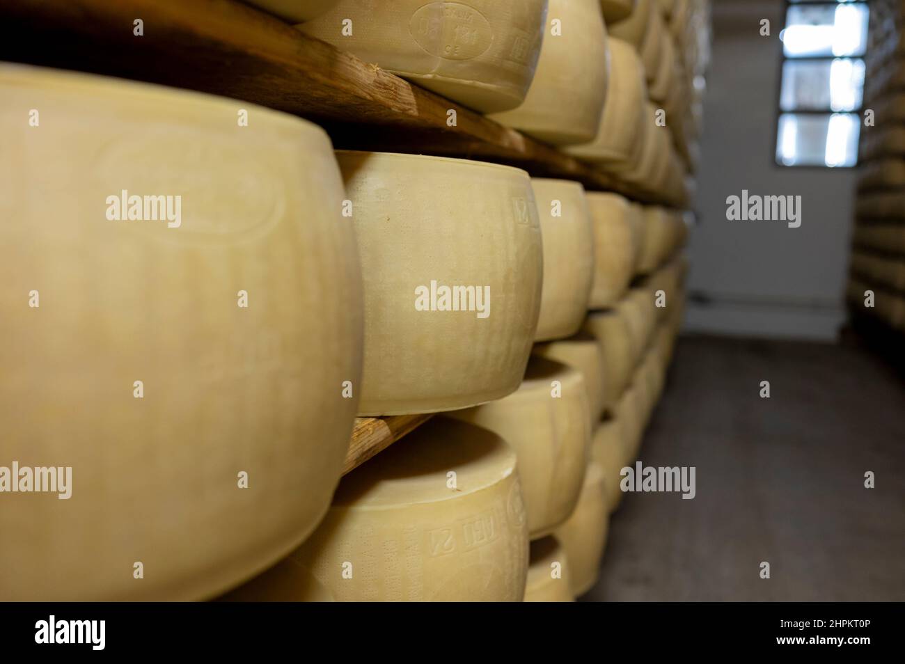 Process of making parmigiano-reggiano parmesan hard cheese on small ...